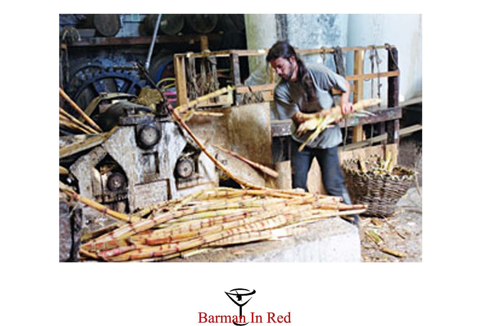 El Ron, origen, notas históricas, destilación, tipos de ron, etc.