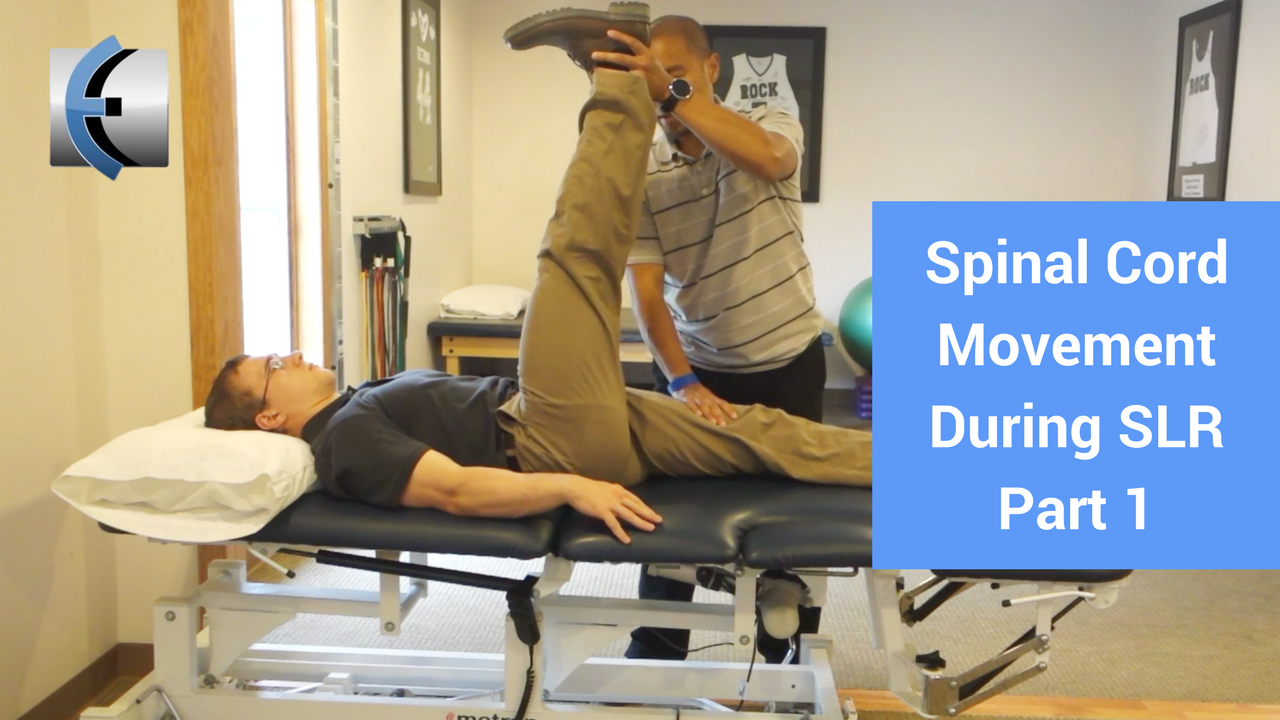 Spinal Cord Movement During SLR Part 1 | Modern Manual Therapy Insiders ...