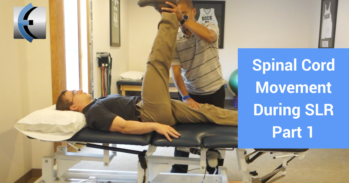 Spinal Cord Movement During SLR Part 1 | Modern Manual Therapy Insiders ...