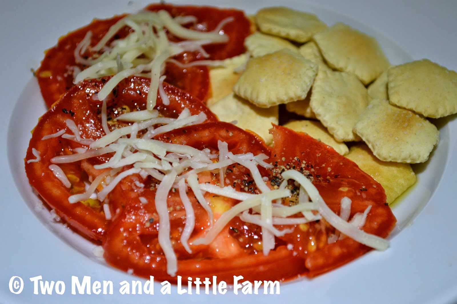 HOw To GARDEN FRESH TOMATO AND CRACKER SNACK