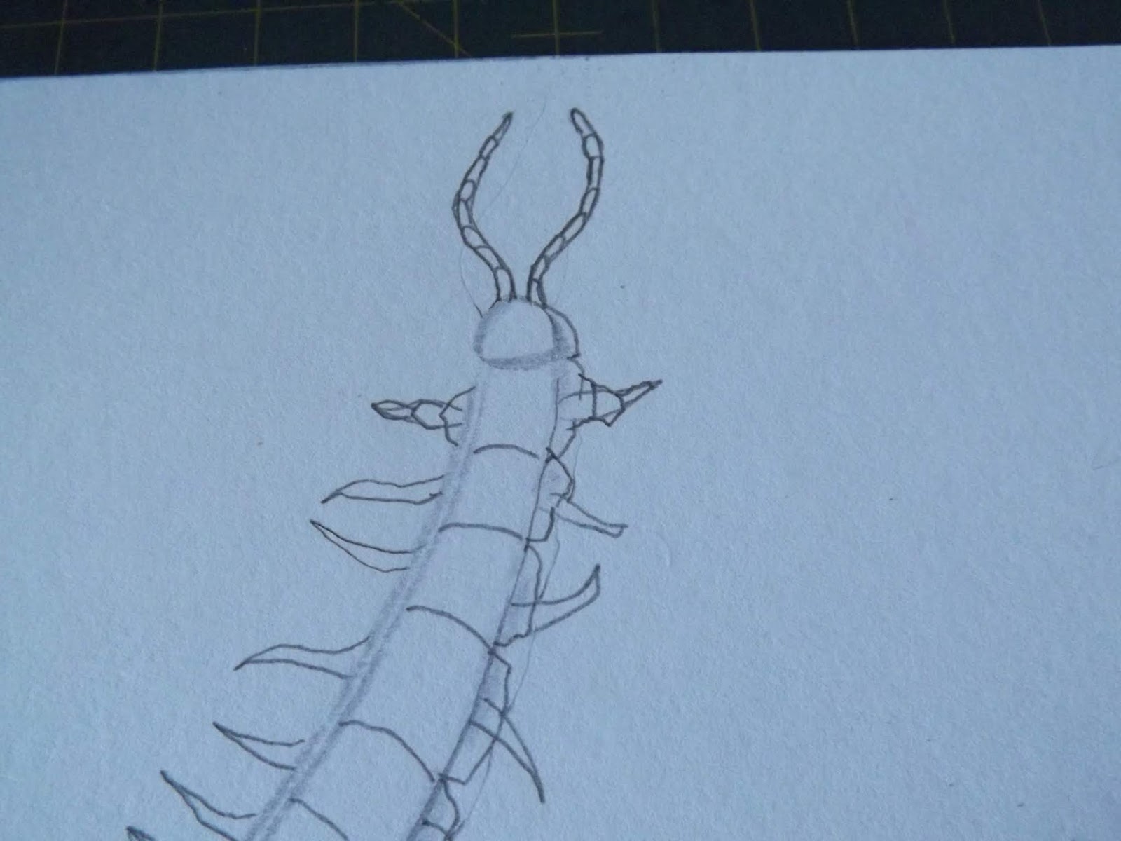A Pretty Talent Blog: How to draw: A Centipede