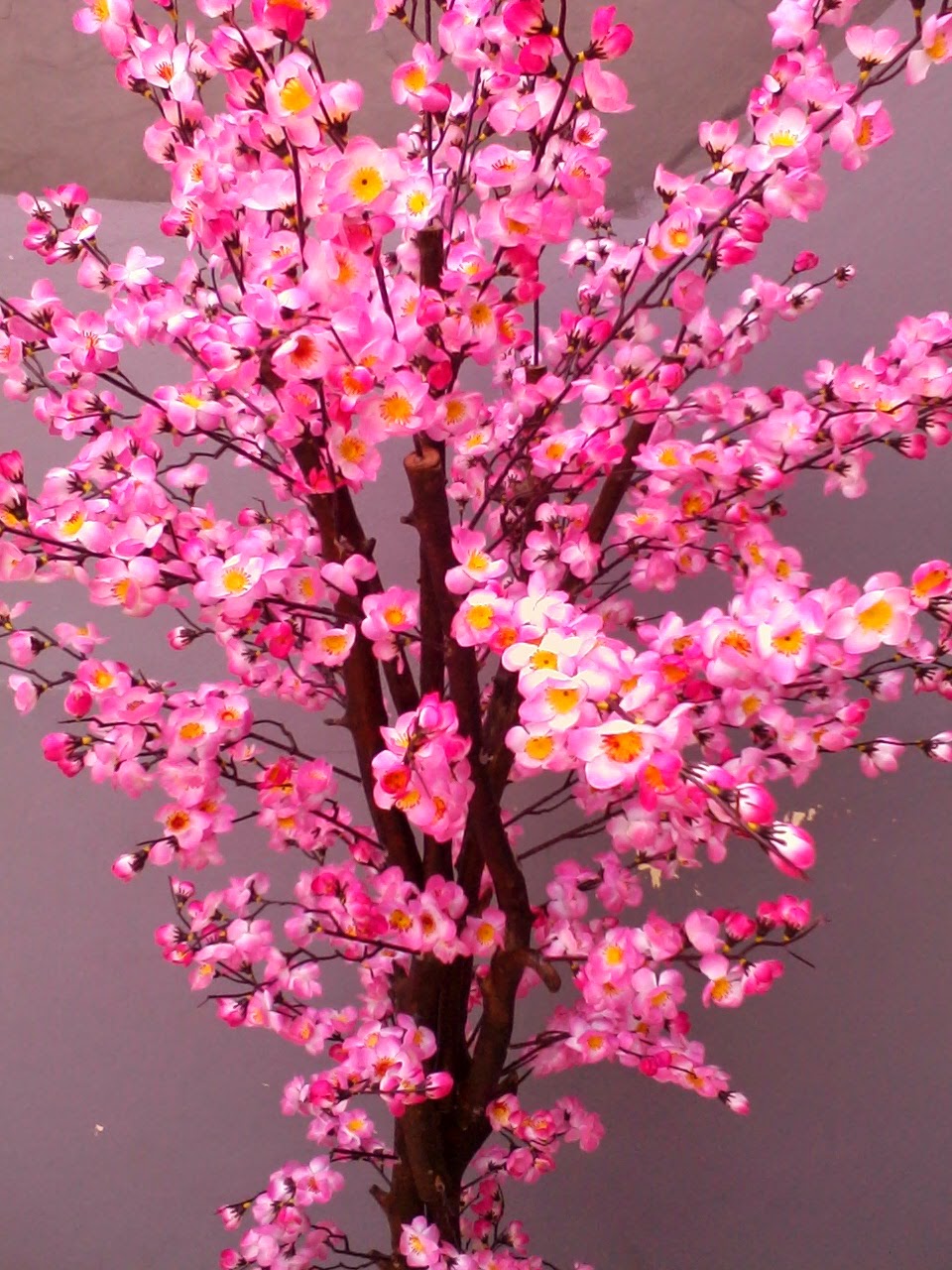 Pondok Dahar Lauk Jogja: Pohon & Mei Hwa Artificial @ Pondok Dahar Lauk ...