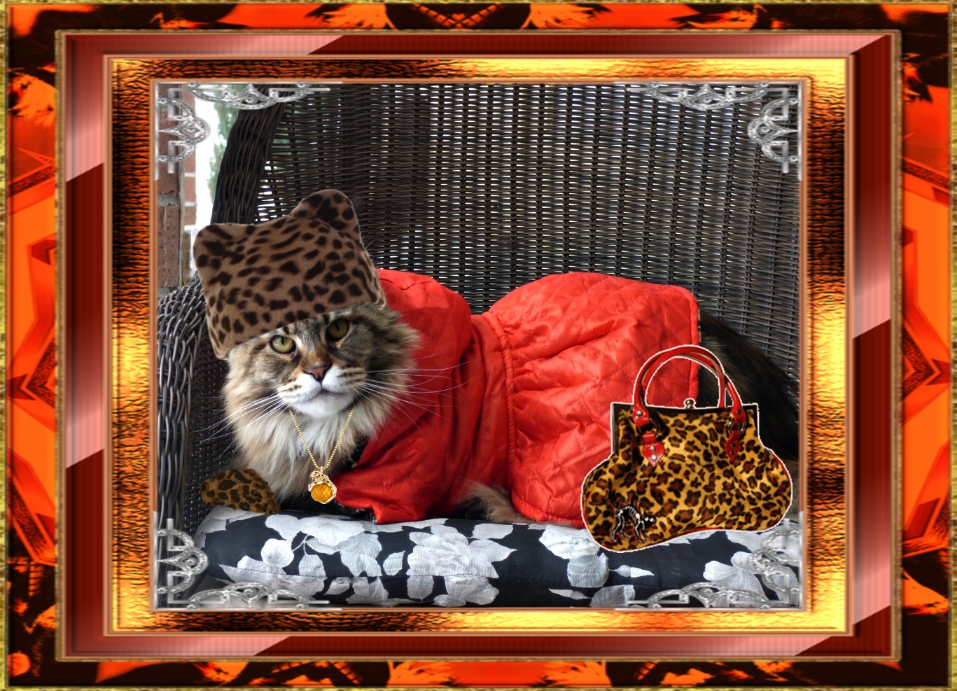 ODaniGirl: DANI TURNS INSIDE OUT