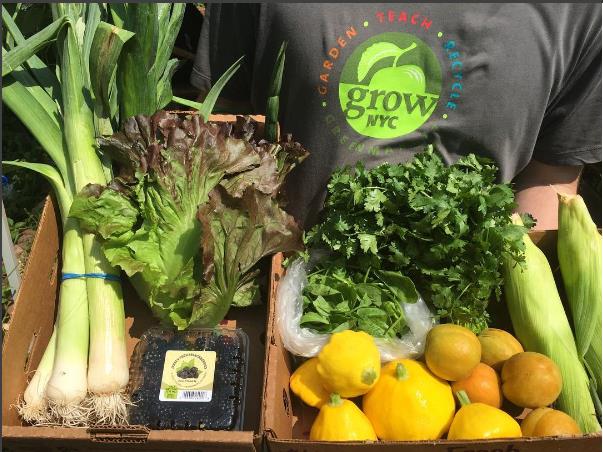 Making Health Equality a Reality: Institute for Family Health Stevenson ...