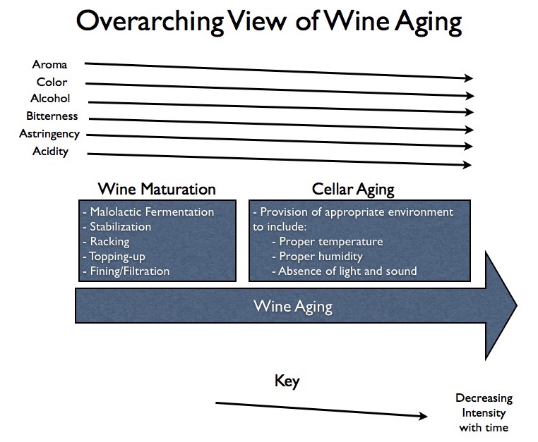 Wine -- Mise en abyme: The evolotion of components during red-wine aging