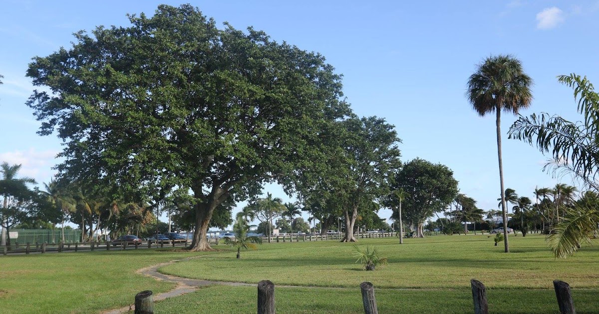 Dreaminations: Discover Miami: Morningside Park