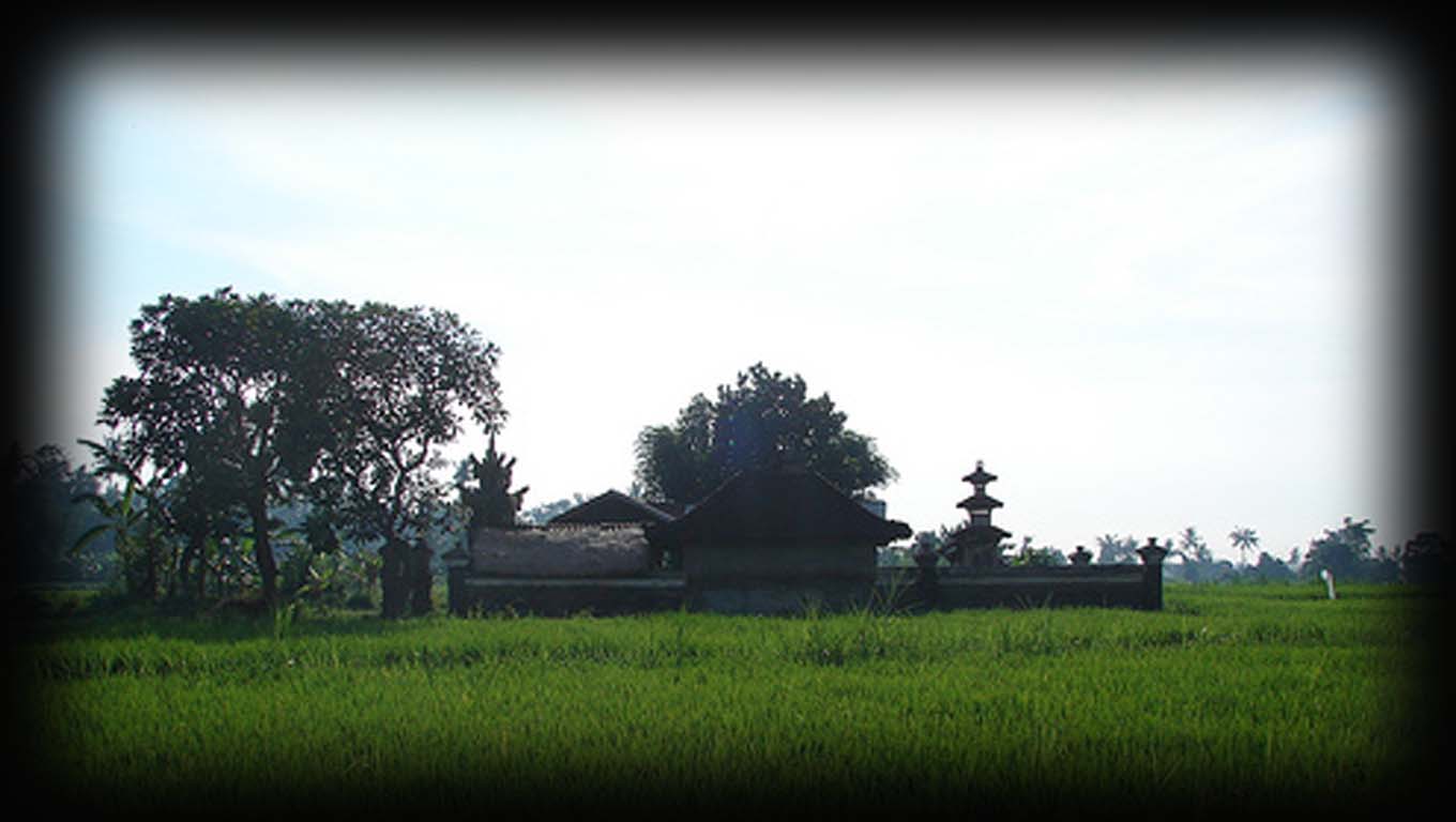 all around indonesia: SUBAK, AN EXTRAORDINARY IRRIGATION SYSTEM IN BALI