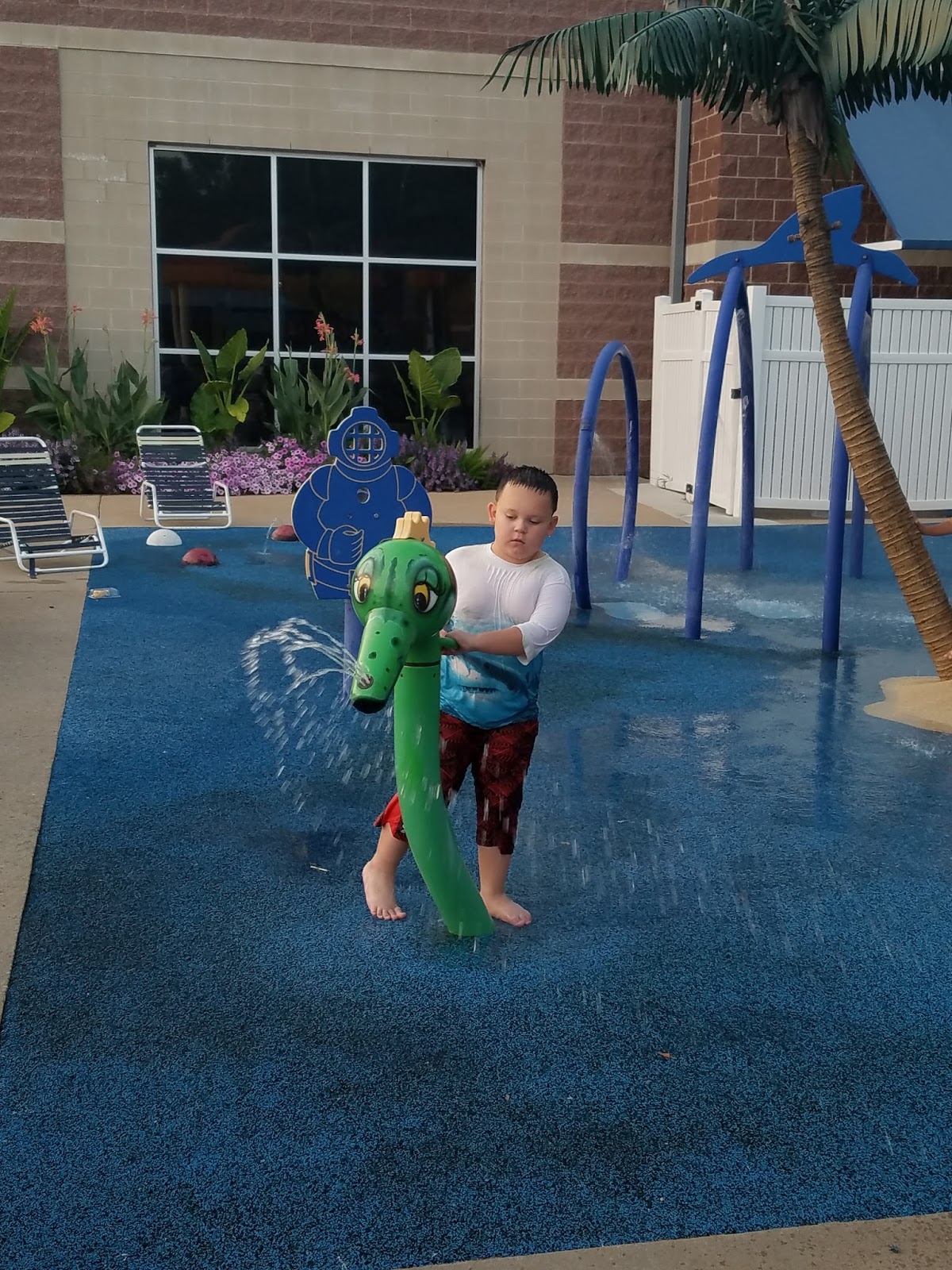 Play St. Louis: Webster Groves Aquatic Center at Memorial Park, Webster ...