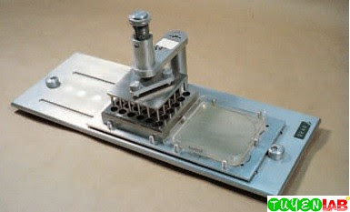 [Microbiology] Atlas of Antimicrobial Susceptibility Testing | Free ...