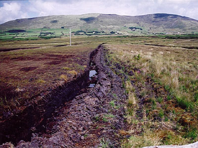 Living Life As It Is: THE BEST OF THE BOG