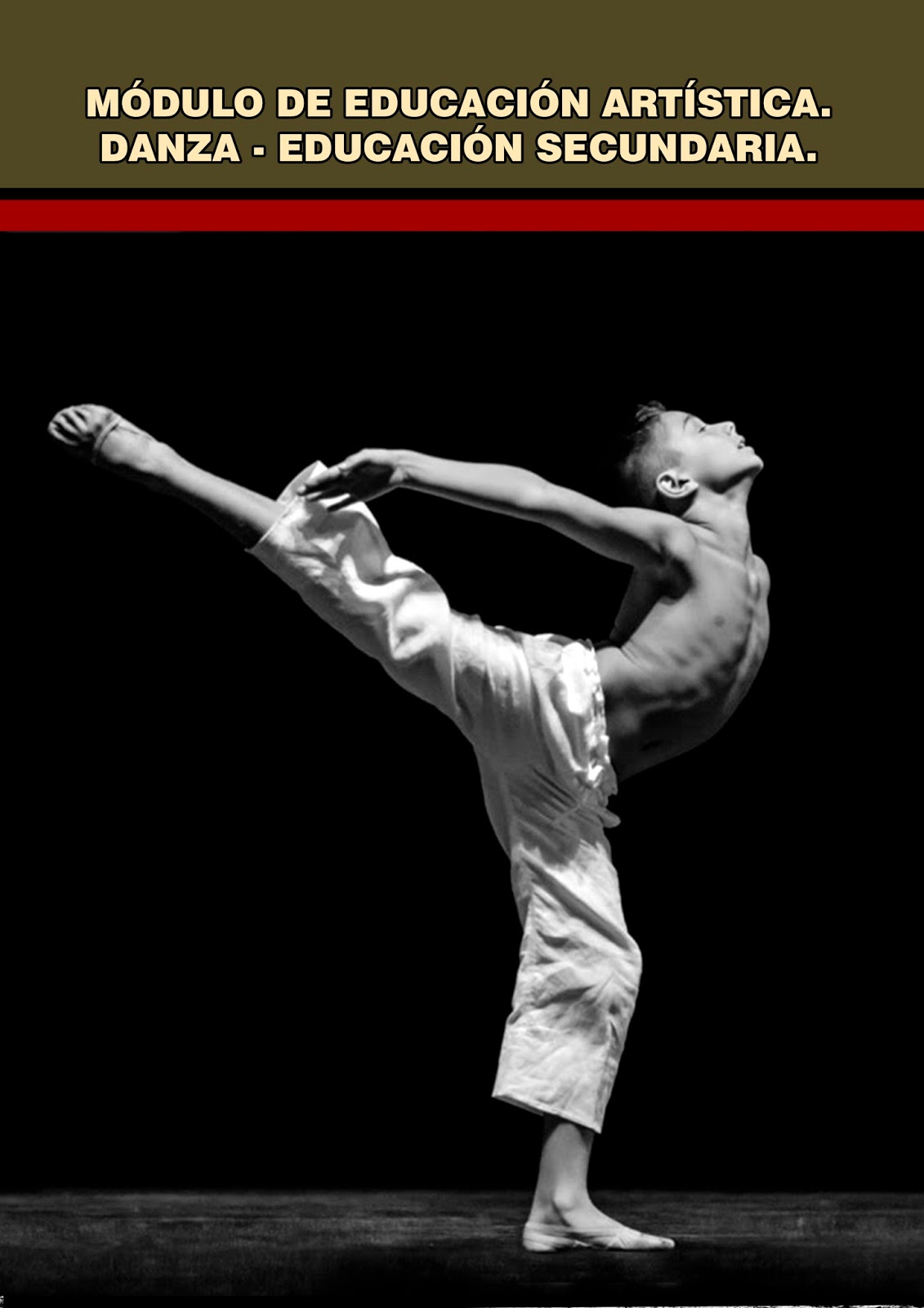 DANZA ~ ARTE Y CULTURA