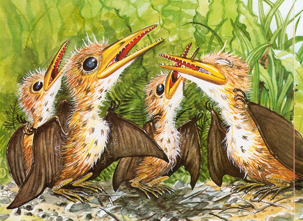 Love in the Time of Chasmosaurs: Vintage Dinosaur Art: The Complete ...