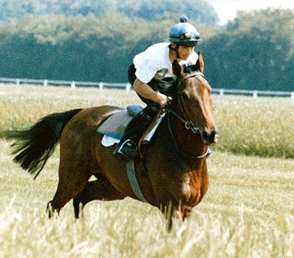 Racing Post Issues: TUESDAY AUGUST 21st RACING POST 2012. EVE OF YORK'S ...