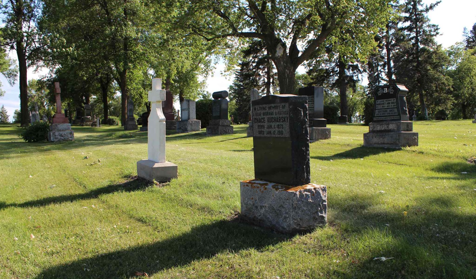 West End Dumplings: August 2013