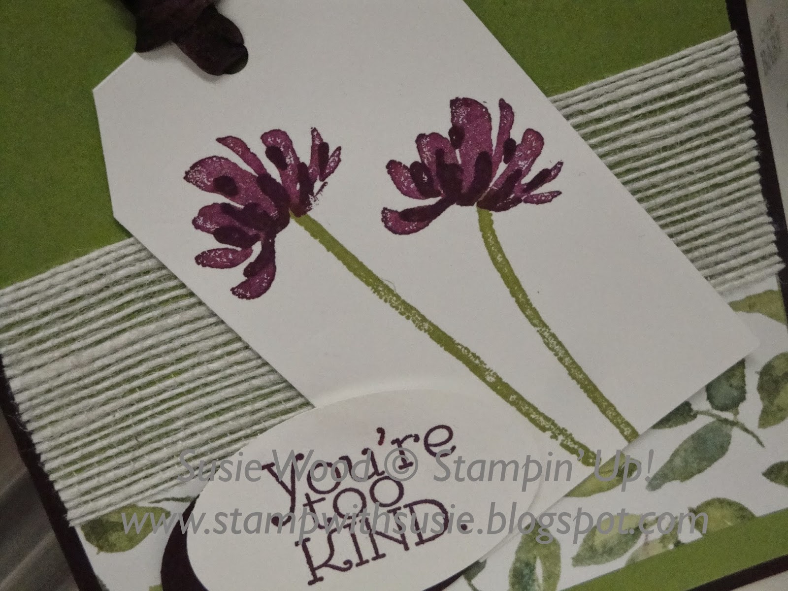 Stamp with Susie: 'Too Kind' is going.....