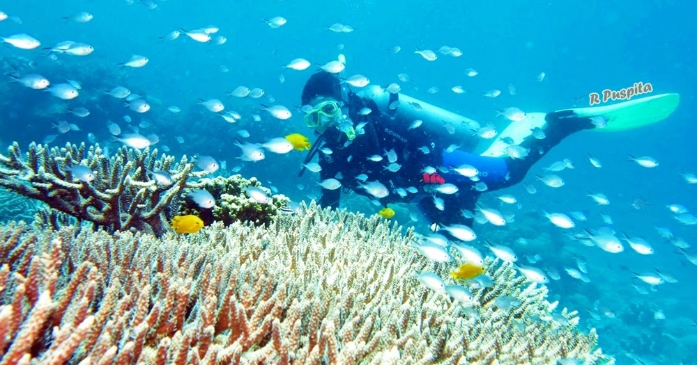 Live Is An Adventure: Diving di Bunaken