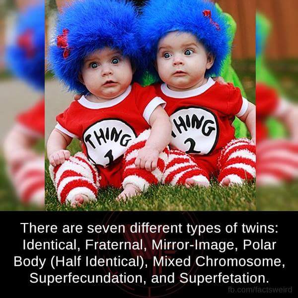 Half Identical Mirror Image Twins Mixed Chromosome Twins ...