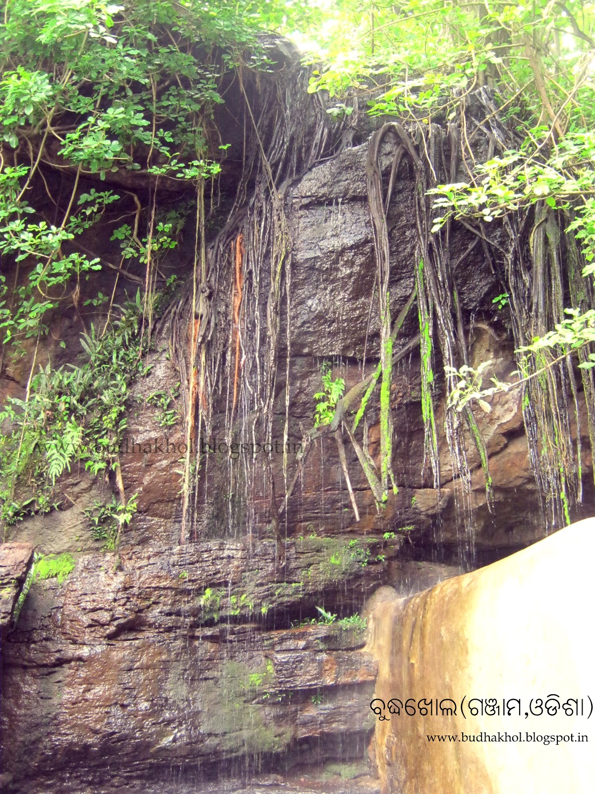 Perennial Waterfall In BUDHAKHOLA | Buguda | Ganjam | Odisha