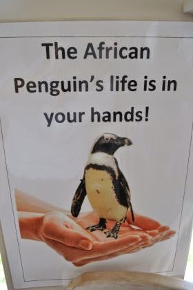 Port Elizabeth Coffee Crawl