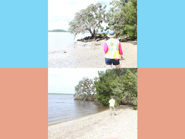 How to be a Heritage Monitoring Scout: Part 1 - Why monitor ...