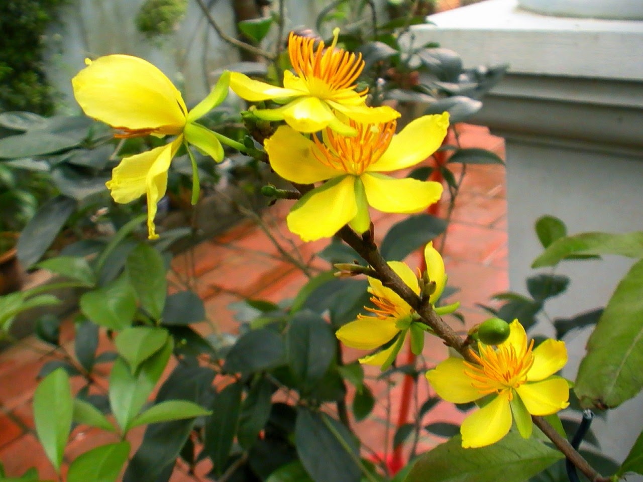 Giao lưu và học hỏi