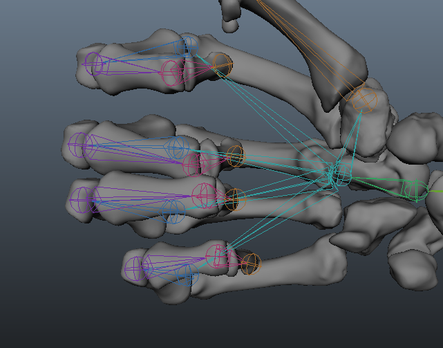 Anatamation: where Anatomy meets Animation: Types of Hand Rigs