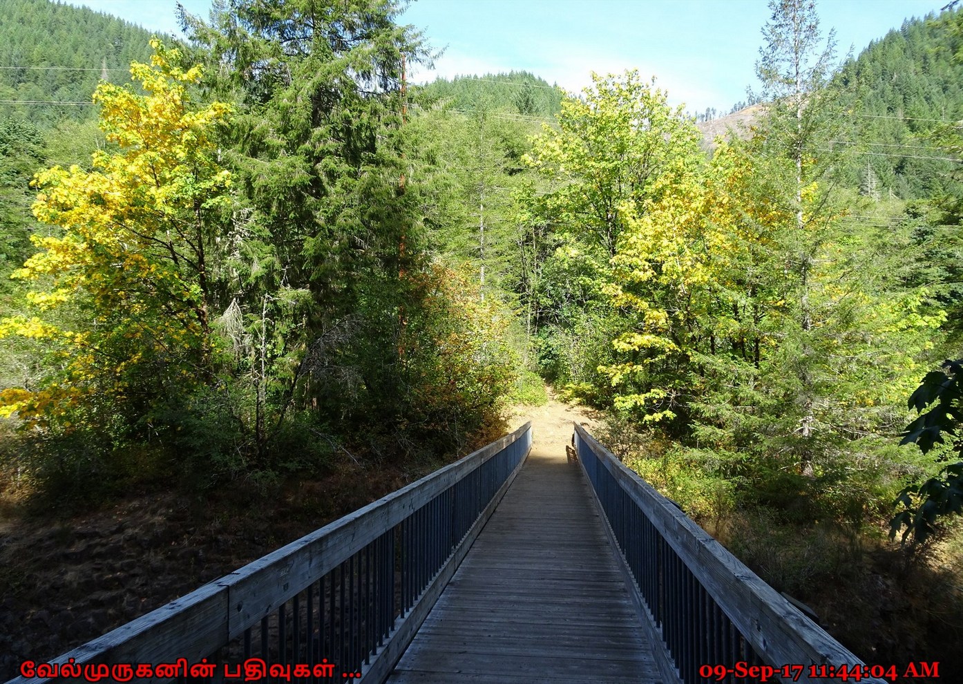 Wilson River Hike Tillamook - Exploring My Life
