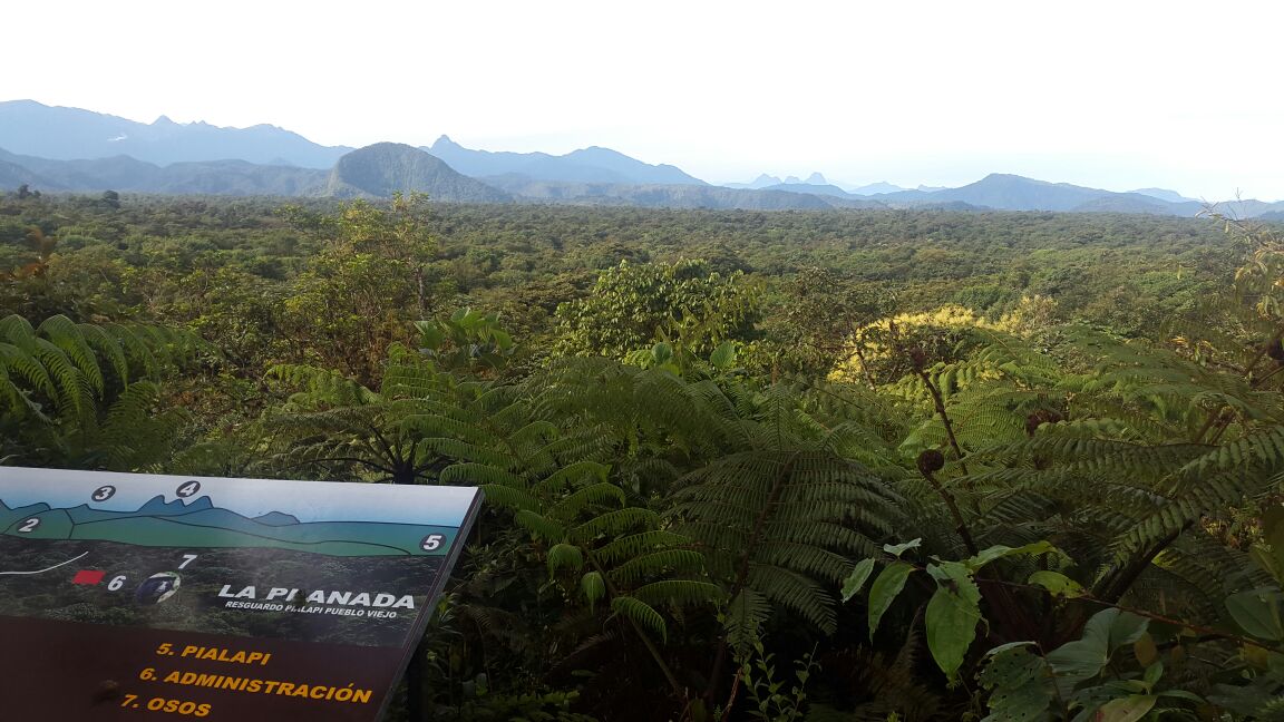 RESERVA NATURAL LA PLANADA: SERVICIOS