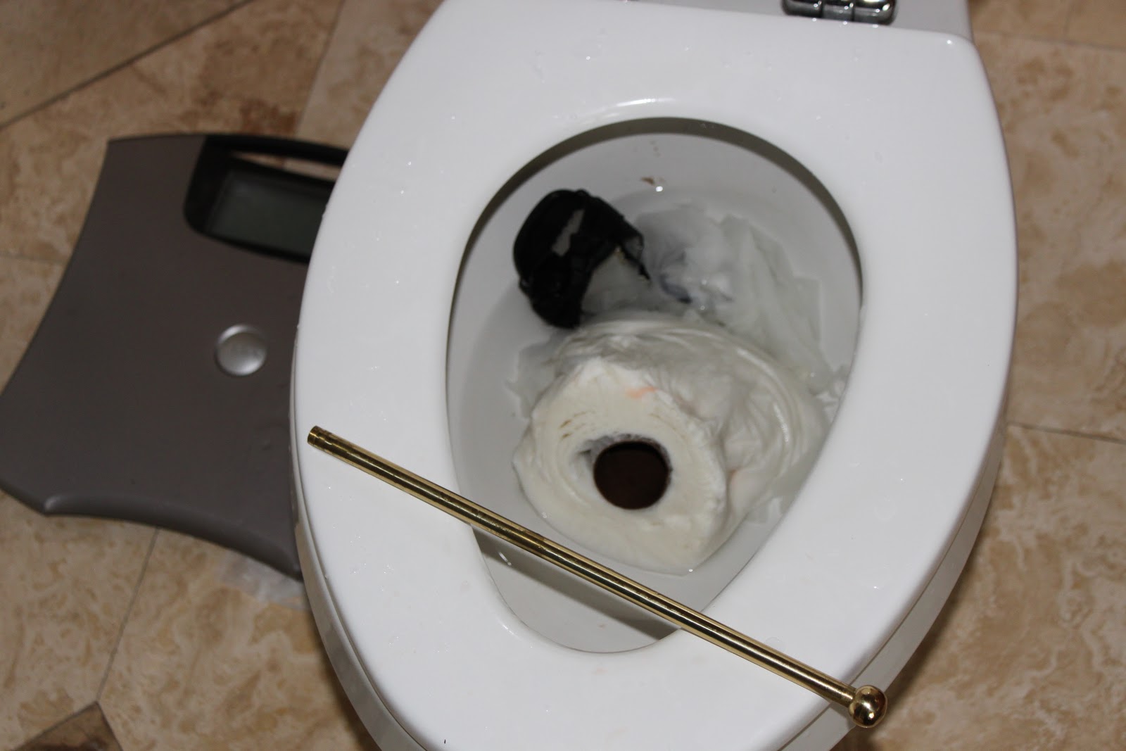 Birds, Toilets, Birds Nests and Strollers