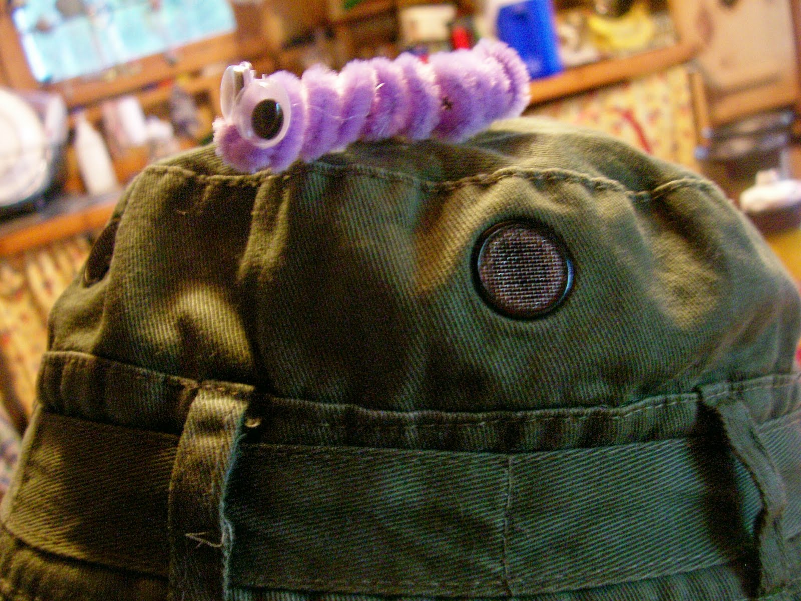 Pauley-Face Farm: Caterpillar Lapbook