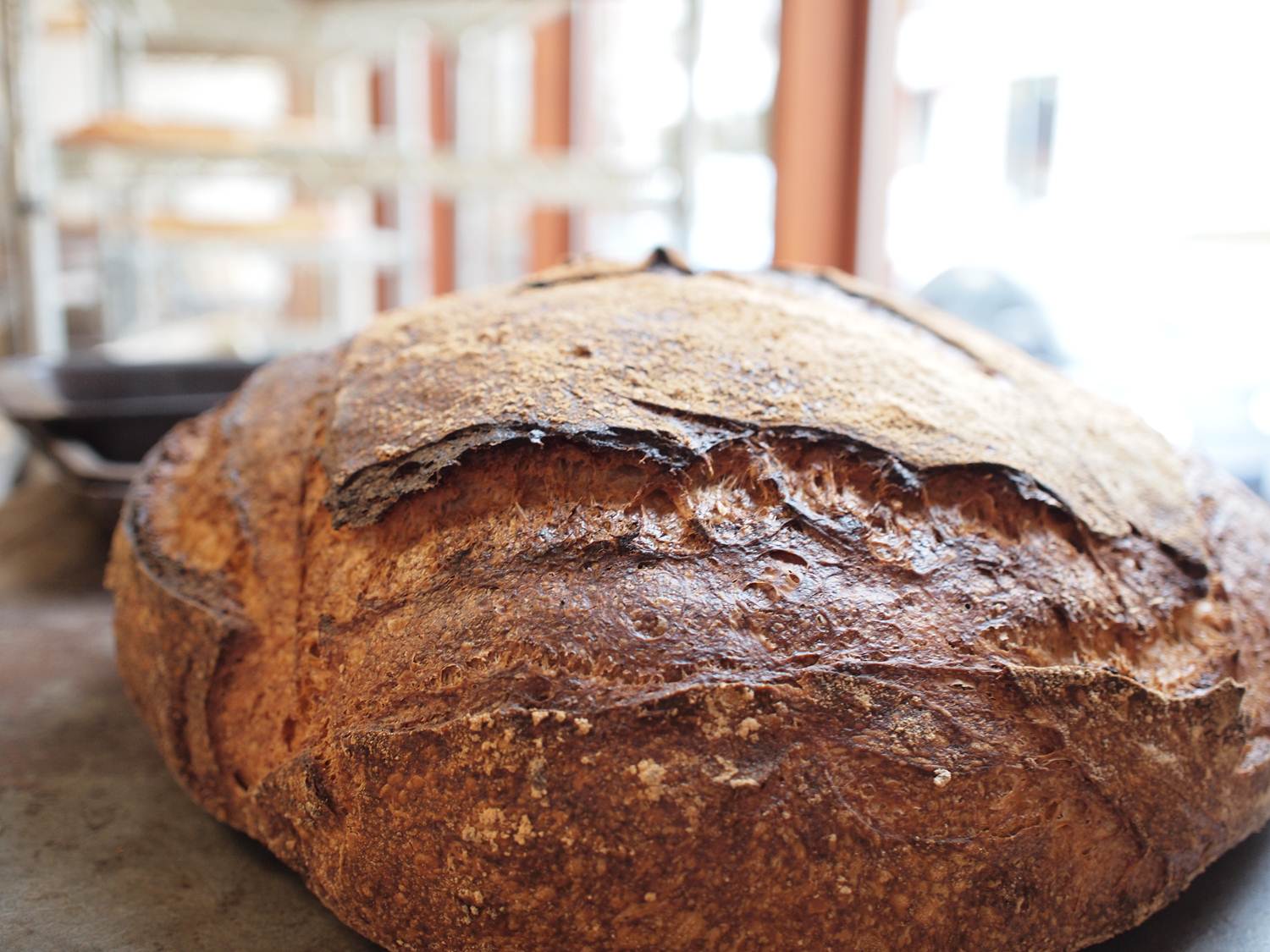 Transplanted to Portland...: Ken's Artisan Bakery
