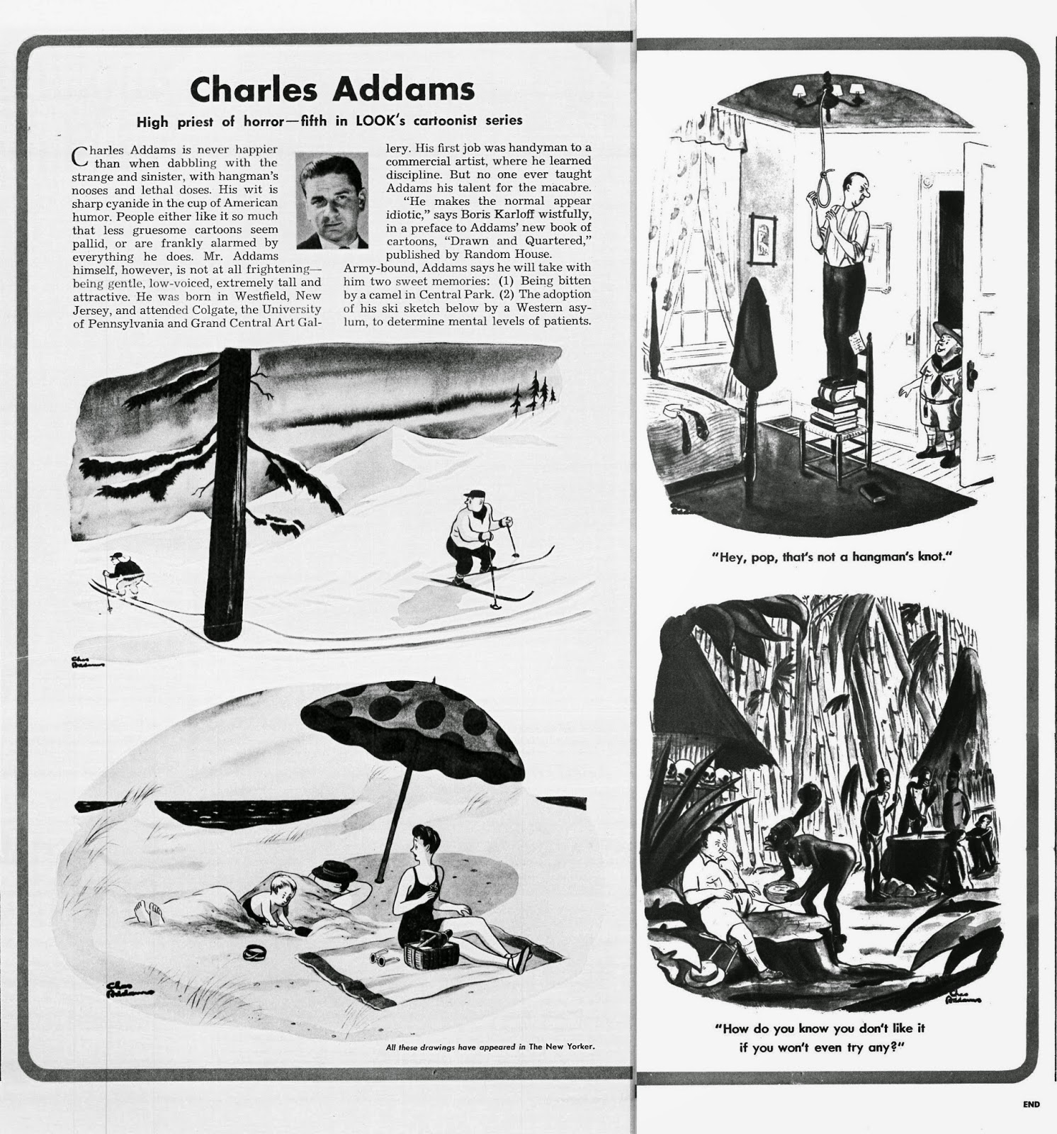 ComicsDC: Look's Cartoonist Series - Charles Addams, Hilda Terry and ...