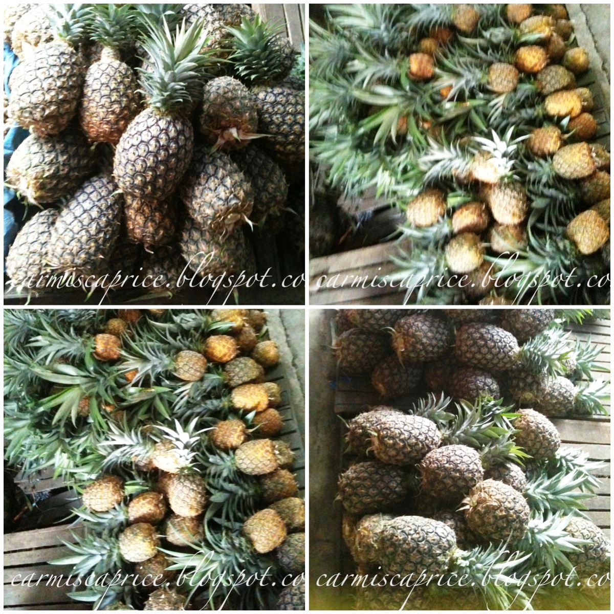 Carmi's Caprice: Mahogany Market in Tagaytay