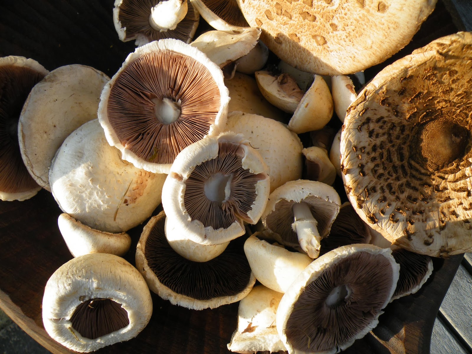 NANCY NICHOLSON: October 2013