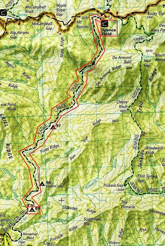 don't touch my poodle: excited and scared ...