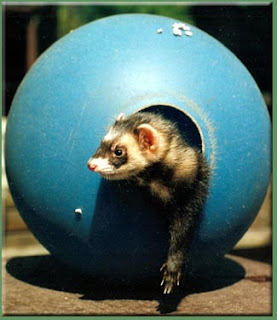 Balls, on various things.