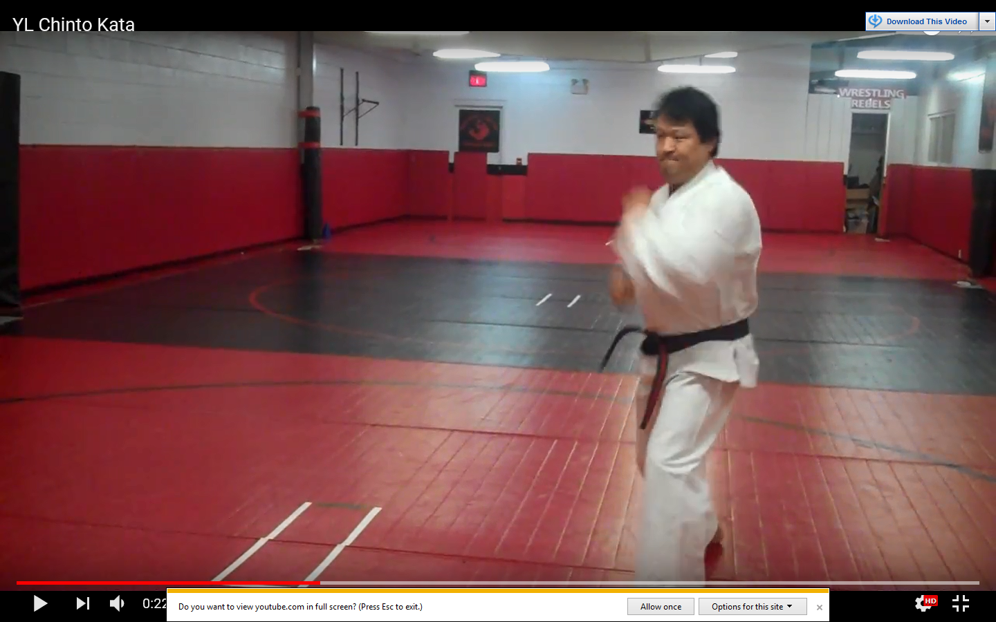 Isshin - Concentration the Art: The Spin in Chinto Kata.