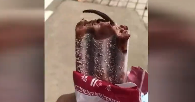 VIDEO: Encuentra una rata congelada en su paleta de hielo