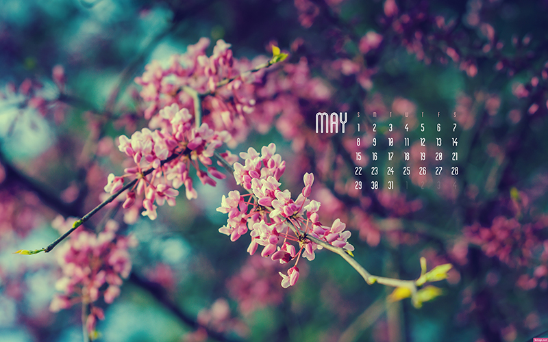 SCRAP & my favourite things: Fondos de pantalla para mayo