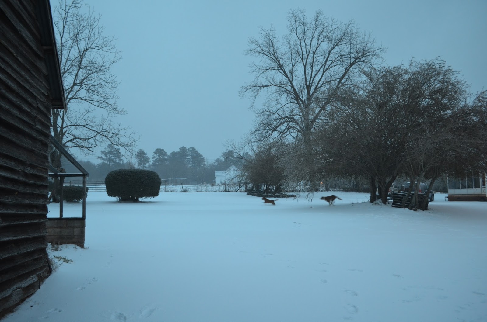Baseball-Diamonds & Hairspray: Snowpocalypse Feb 2014