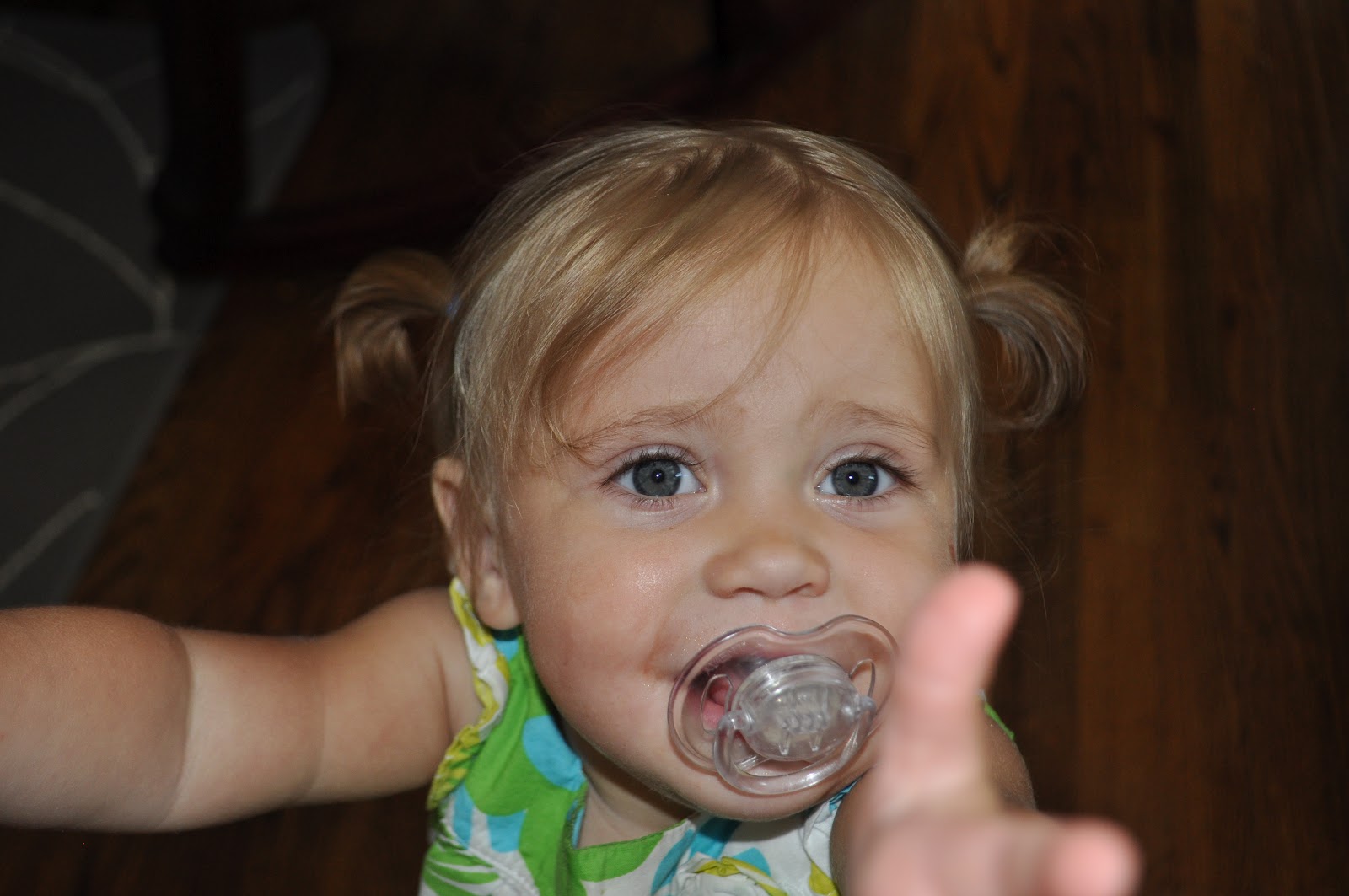 Tenney Family: Brooklyn's First Pigtails
