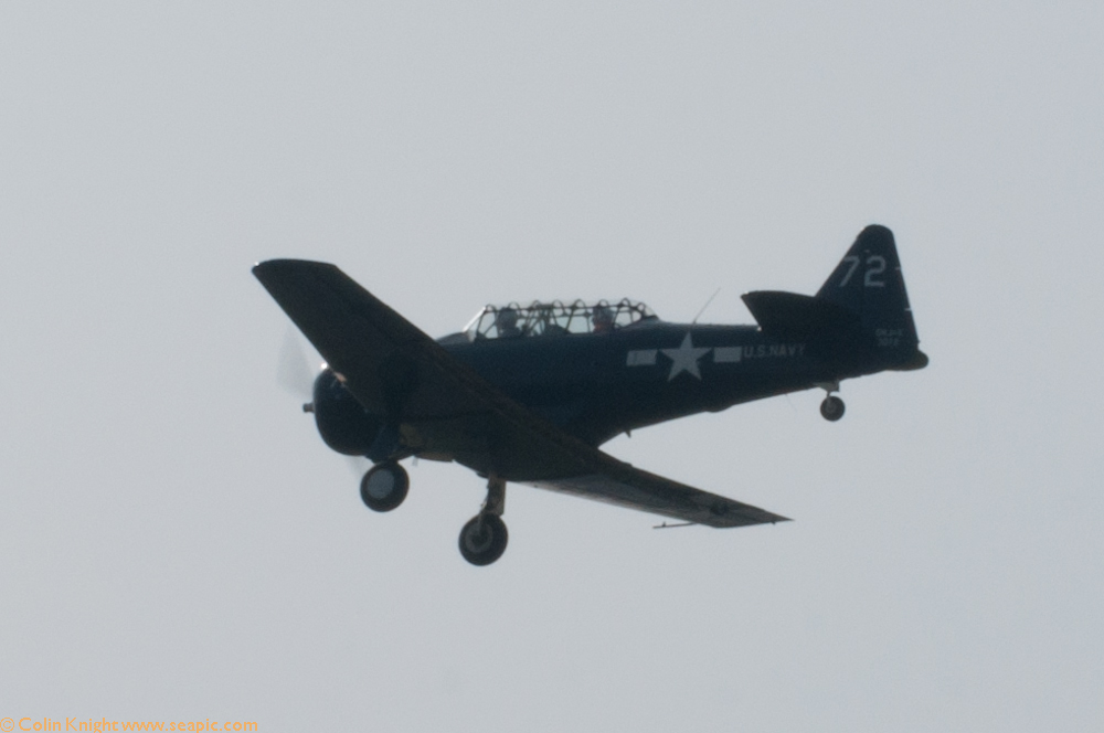 Postcards from Sussex: Mill Hill adders and Grizzlies