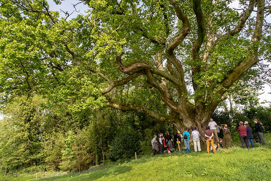 Bob's Photos: May 19-23 Ireland Vacation Post 3 of 3