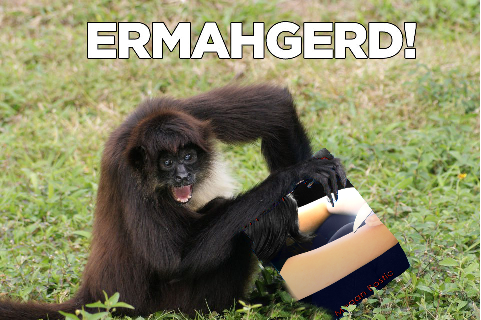 Megan Bostic's Creative Chaos: Ermergerd! I'm Ermerlst Dern!!!
