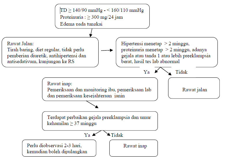 Tanda Gejala Preeklamsia Pdf - Ruang Soal
