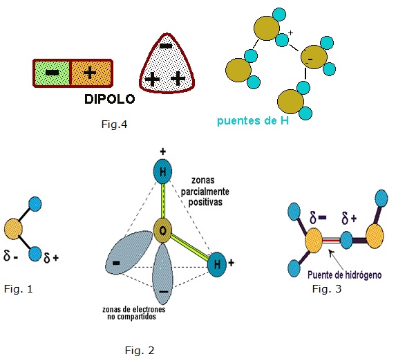 Compuestos Inorgánicos - Vida Biología