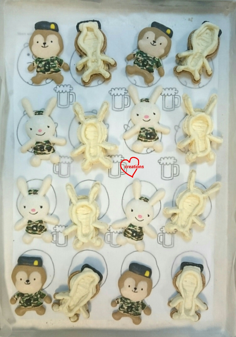 Loving Creations for You: Descendants of the Sun Plush Toy Macarons ...