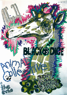the beautiful impermanence of life: Animal Collective Posters