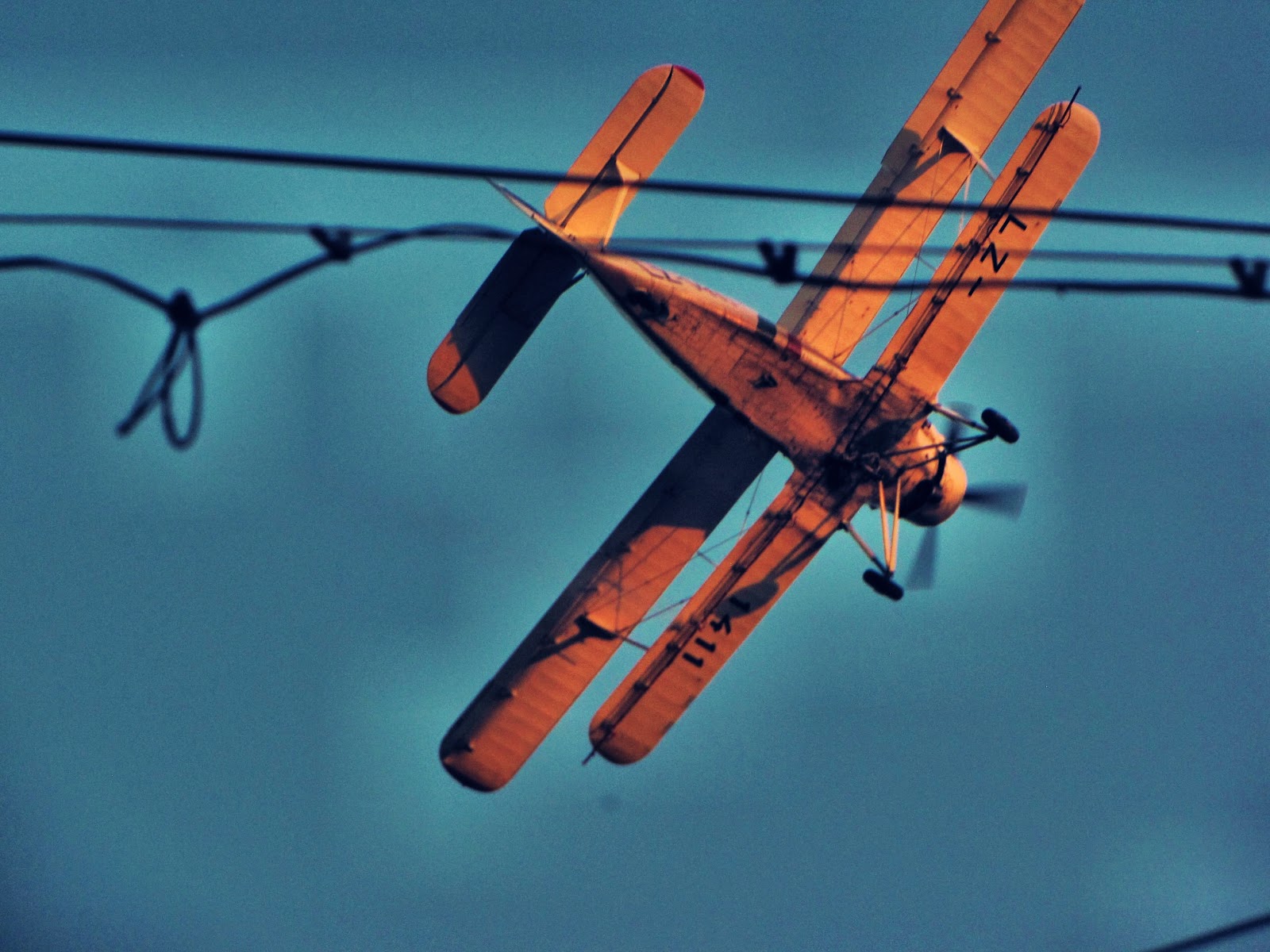 Maria M Photography: Самолет LZ