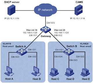 Learn About Networking: Networking Components and Devices